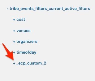 Setting Up Filter Bar With WPML - Knowledgebase