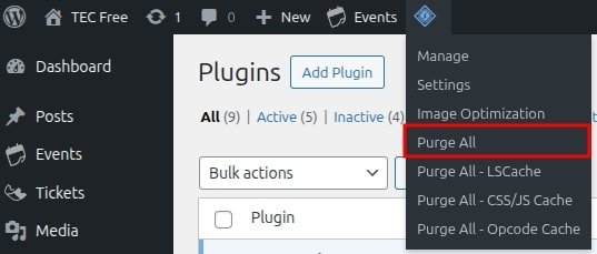 How to Clear Your Site and Browser Cache Properly - Knowledgebase