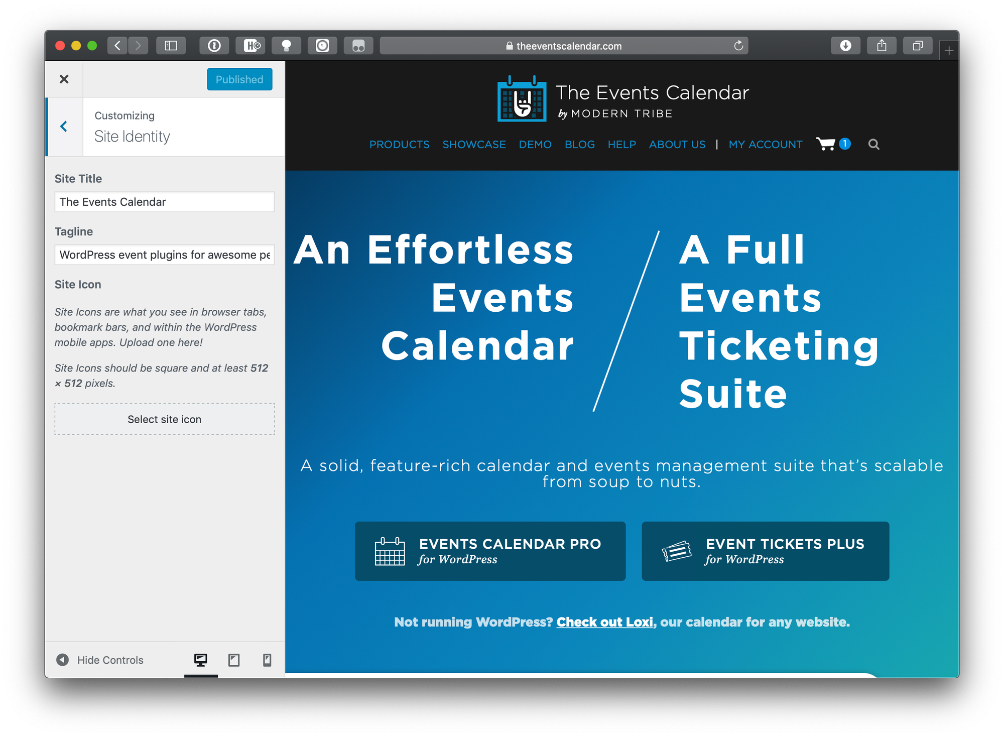 WordPress Theming 101: Creating and Customizing Themes