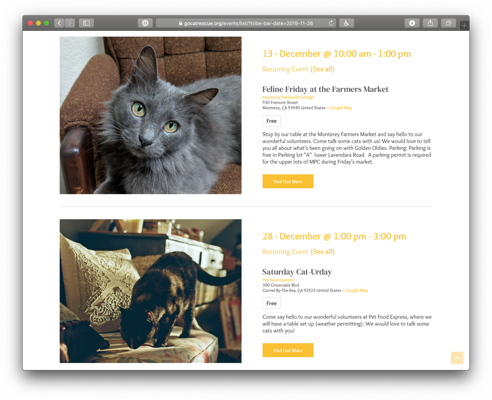 Featured Calendar: Golden Oldies Cat Rescue | The Events Calendar